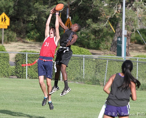 Five Reasons You Should Apply to PUC – PUC Blog