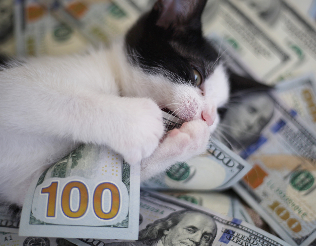 15 Scholarships to Apply for This Fall – PUC Blog