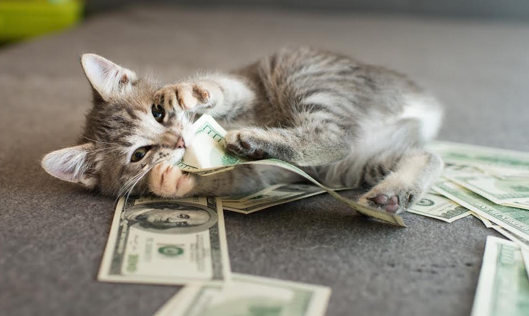 10 Scholarships to Apply for This Spring – PUC Blog