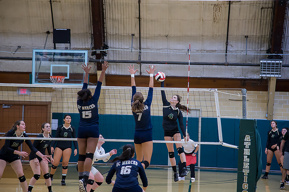 Pioneers Profile: Lydia Earles – PUC Blog